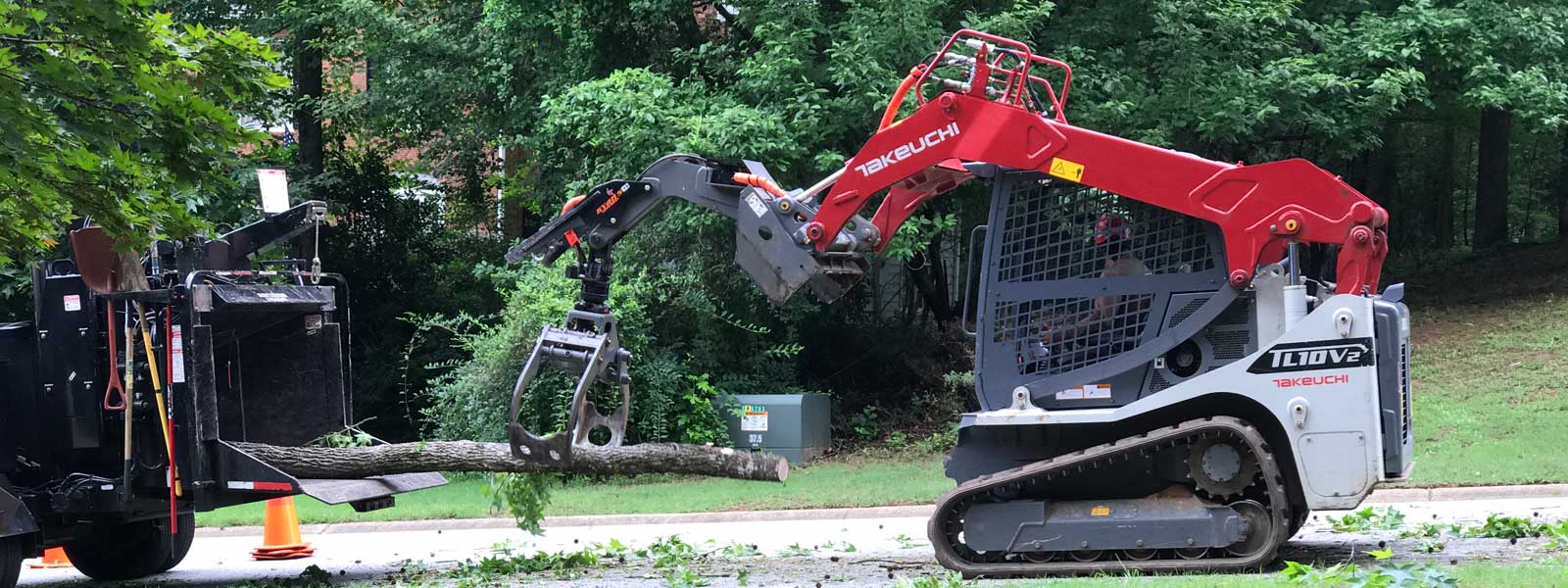 White Oak Tree Service | Atlanta Tree Removal Services - White Oak Tree ...