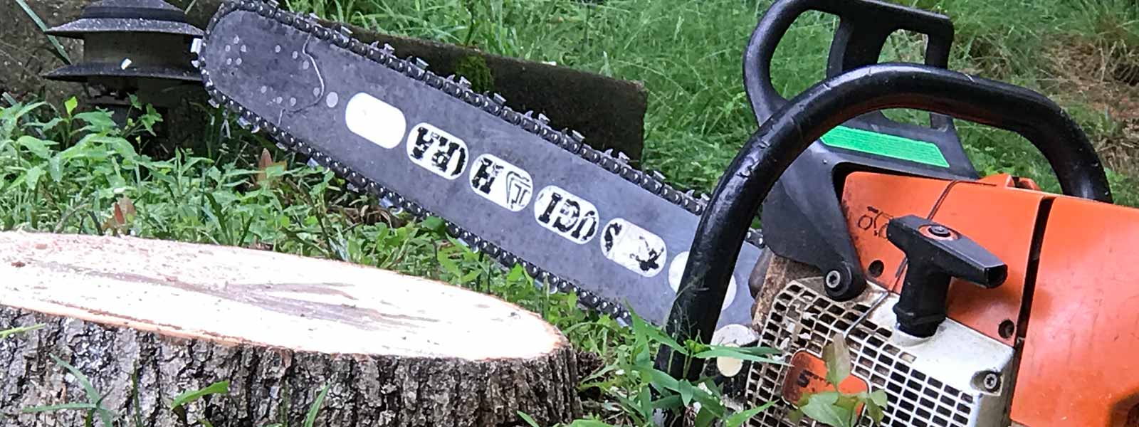 White Oak Tree Service | Atlanta Tree Removal Services - White Oak Tree ...