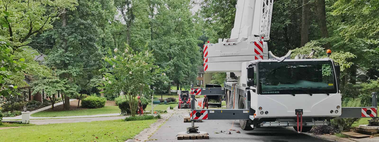 White Oak Tree Service | Atlanta Tree Removal Services - White Oak Tree ...