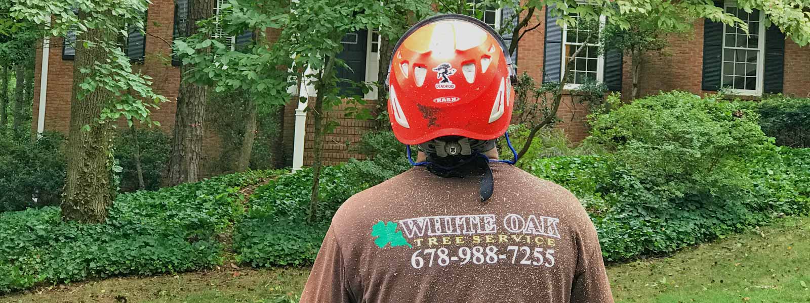 White Oak Tree Service | Atlanta Tree Removal Services - White Oak Tree ...