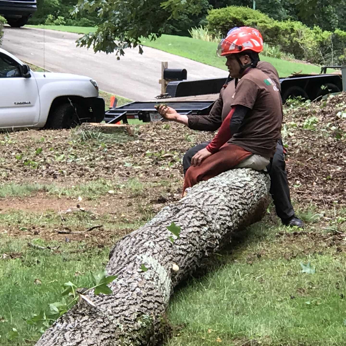 Atlanta GA White Oak Tree Service Wyckford Gallery Phone (678) 988-7255 ...