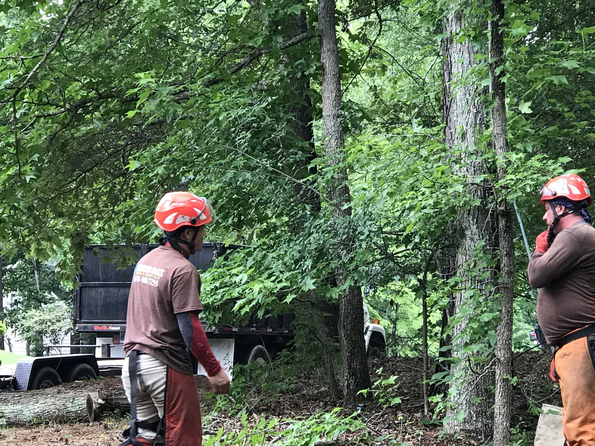 Atlanta GA White Oak Tree Service Wyckford Gallery Phone (678) 988-7255 ...