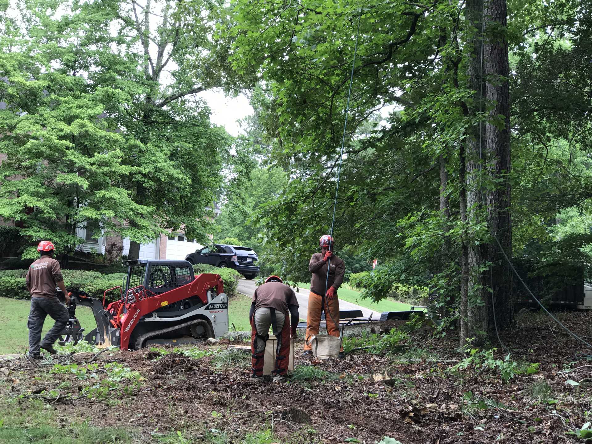 Atlanta GA White Oak Tree Service Wyckford Gallery Phone (678) 988-7255 ...