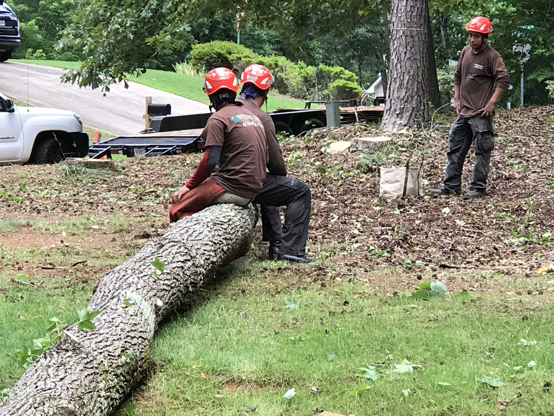 Atlanta GA White Oak Tree Service Wyckford Gallery Phone (678) 988-7255 ...