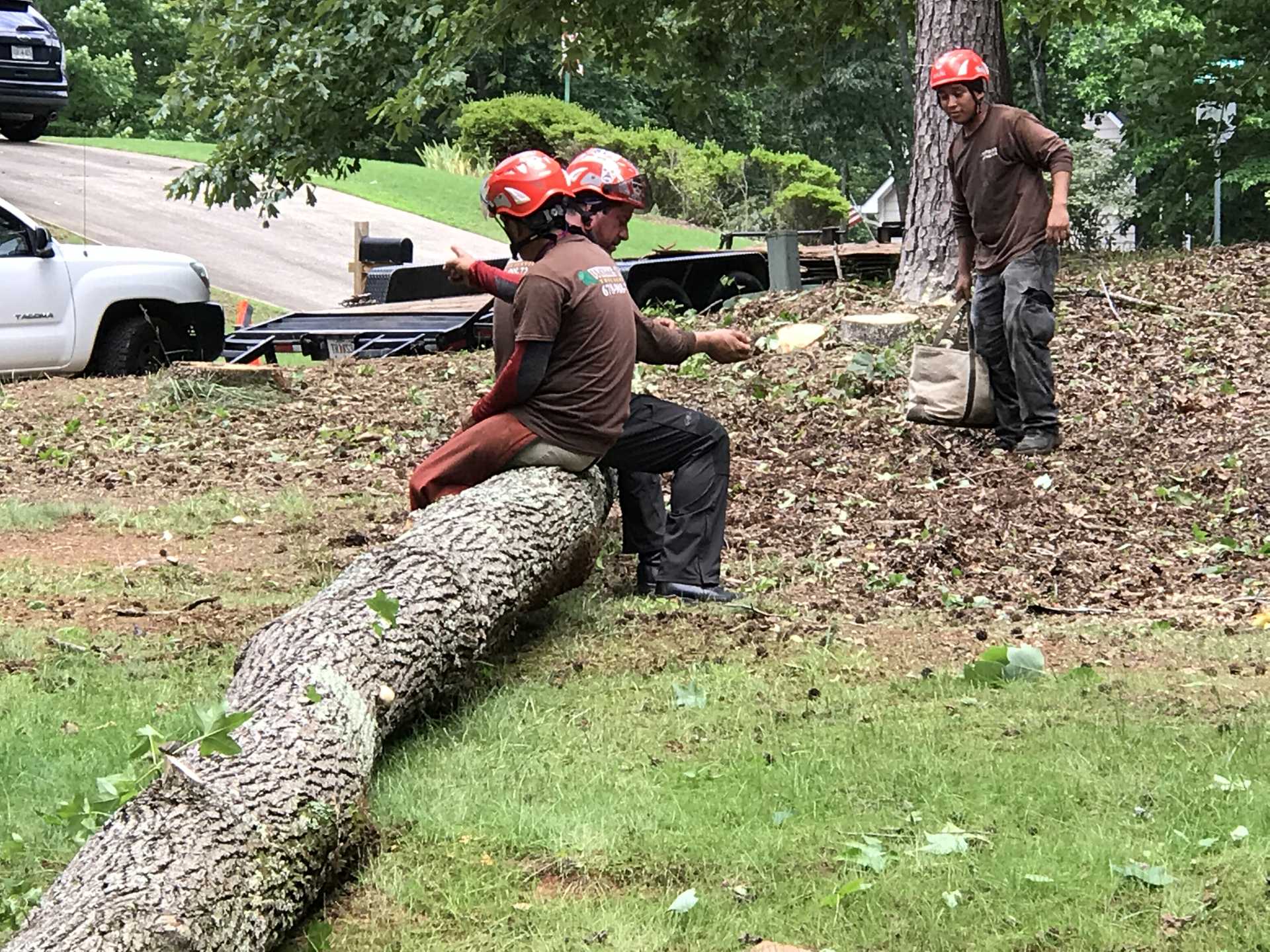 Atlanta GA White Oak Tree Service Wyckford Gallery Phone (678) 988-7255 ...
